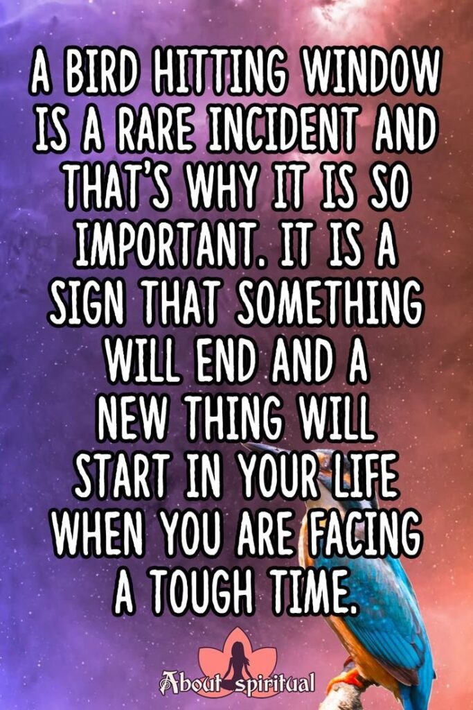 Understanding What Does It Mean When A Bird Hits Your Window – The ...